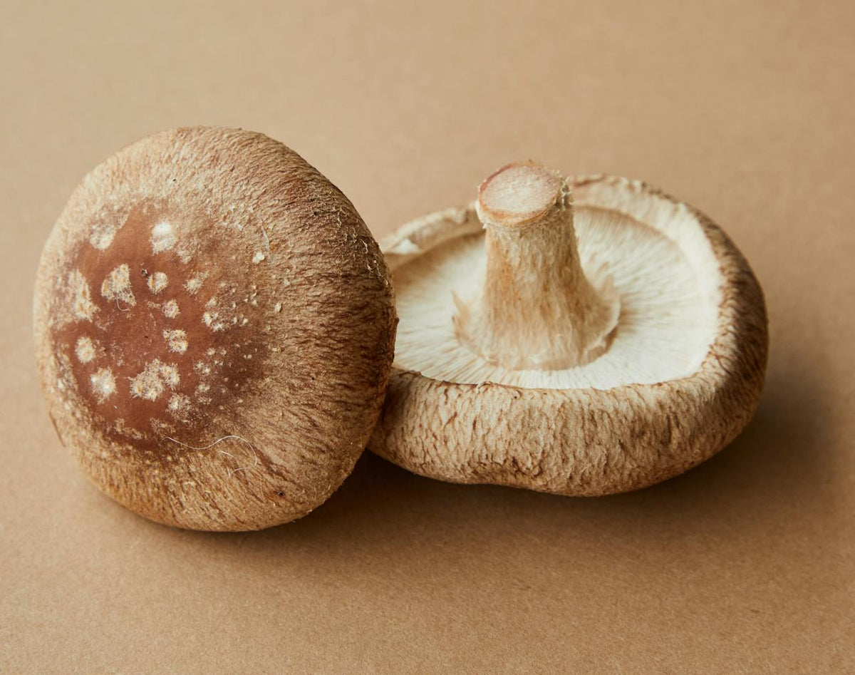 7 Surprising Benefits of Shiitake Powder 🍄‍🟫
